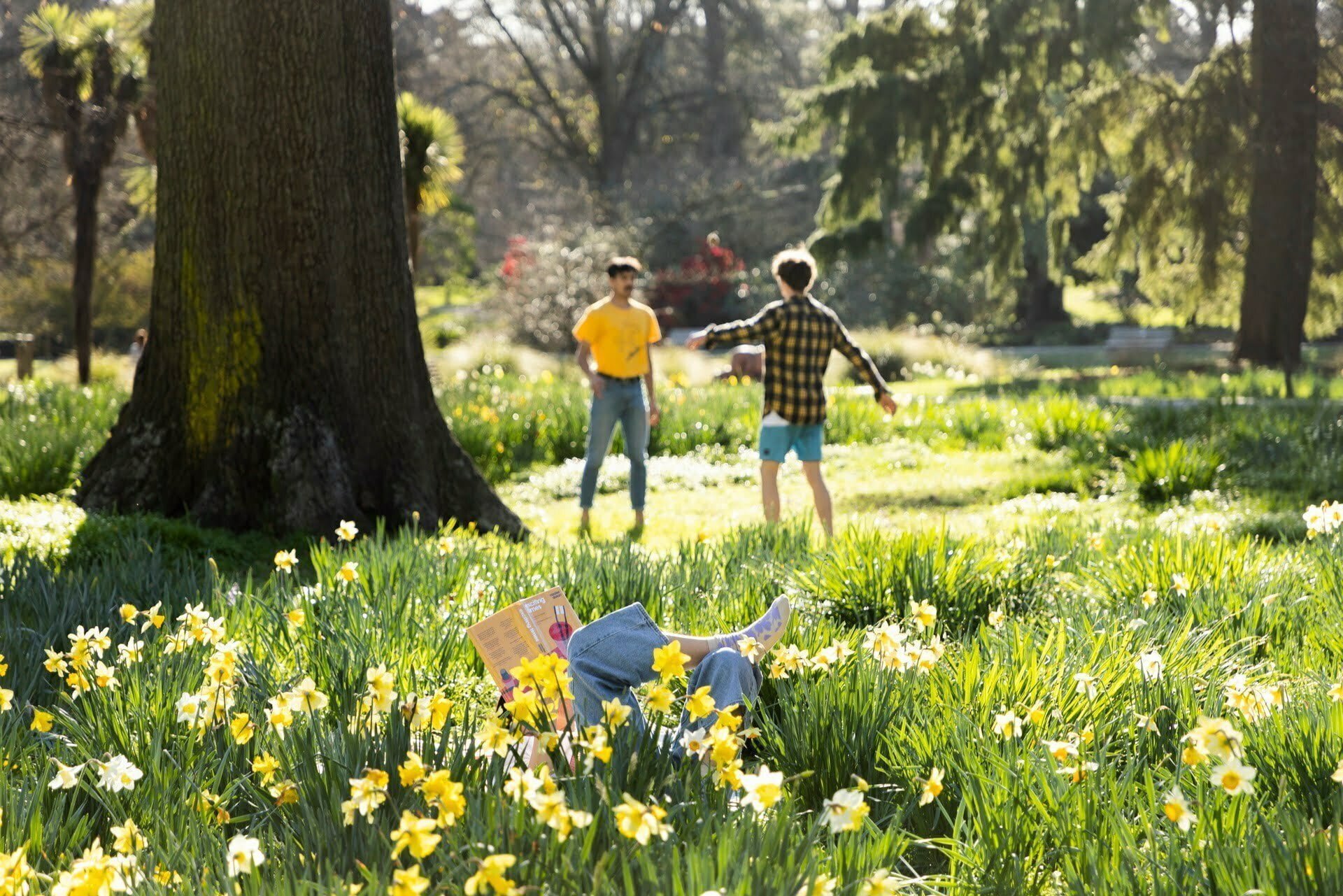 Springs School Holidays Guide to Christchurch - Christchurch Attractions